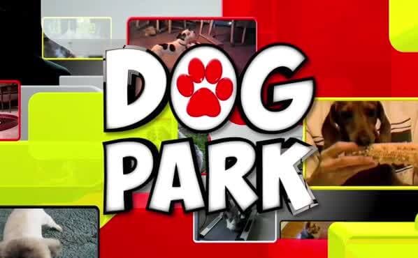 AFV - America's Funniest Home Videos - Sundays 7/6C on ABC