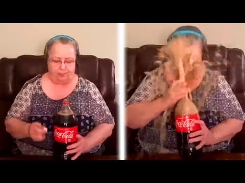 Funny Cat Videos - Funniest Cats Compilation - AFV