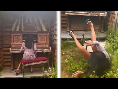 Funny Cat Videos - Funniest Cats Compilation - AFV